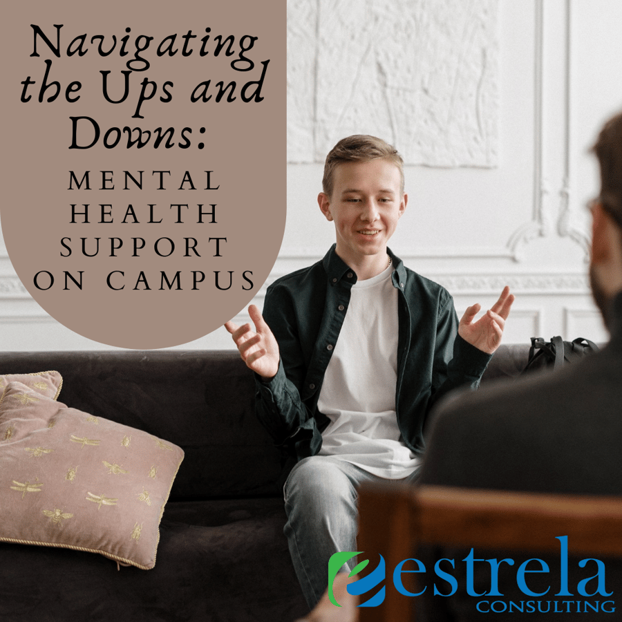 Navigating the Ups and Downs: Mental Health Support on Campus